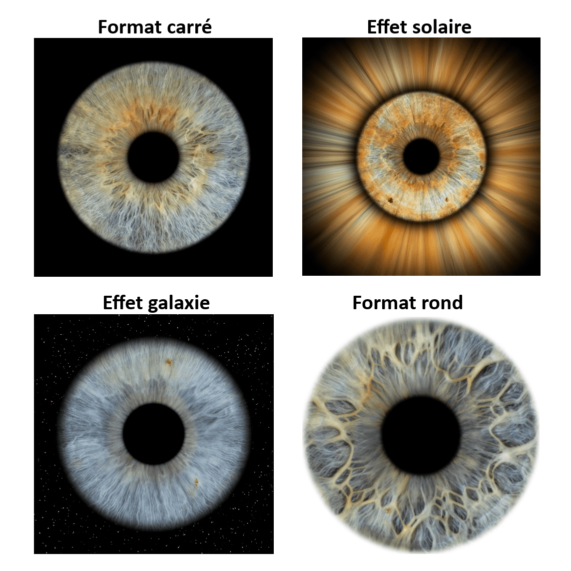 Photographie d'Iris - Tarifs et supports d'impressions