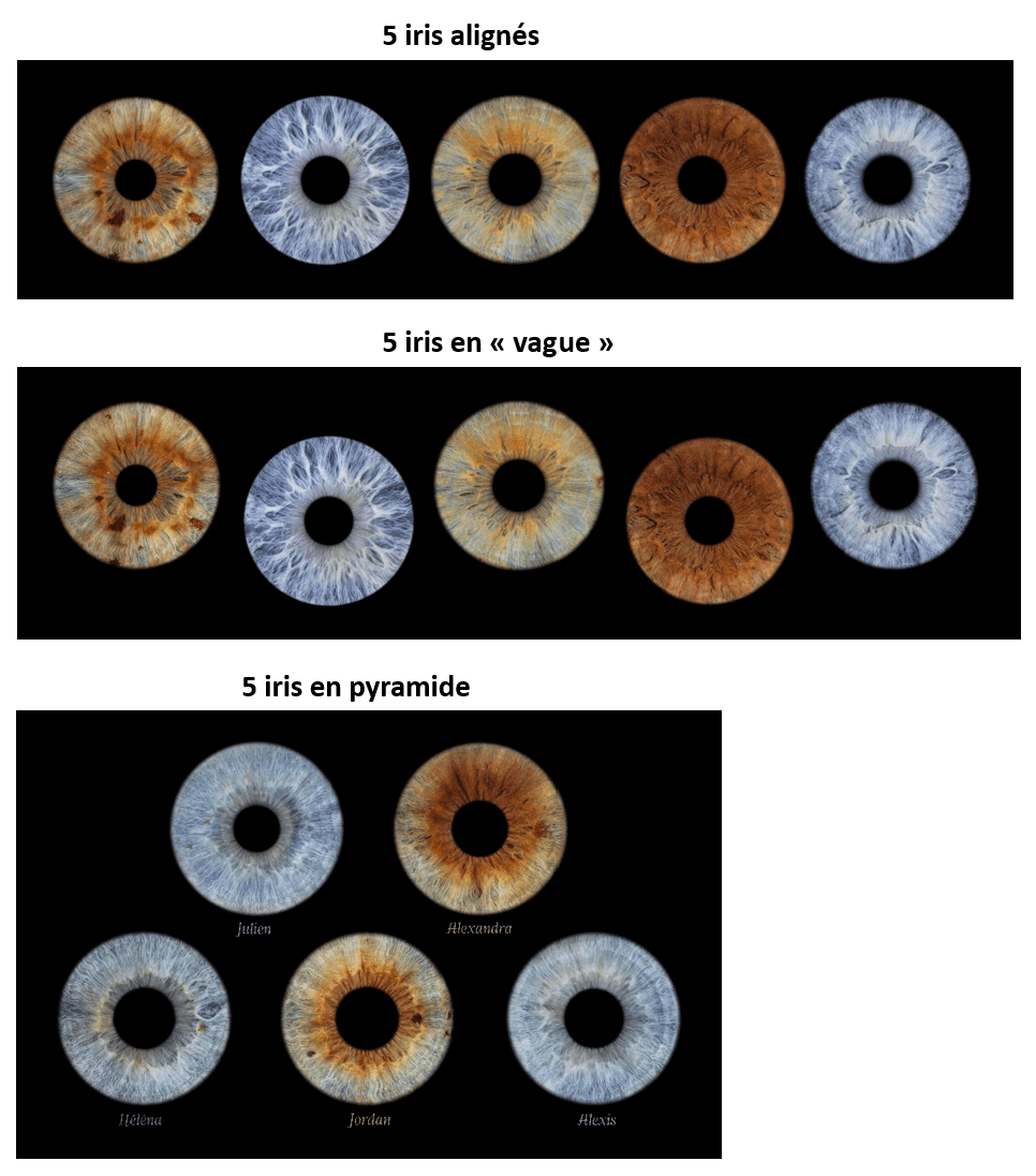 Photographie d'Iris - Tarifs et supports d'impressions