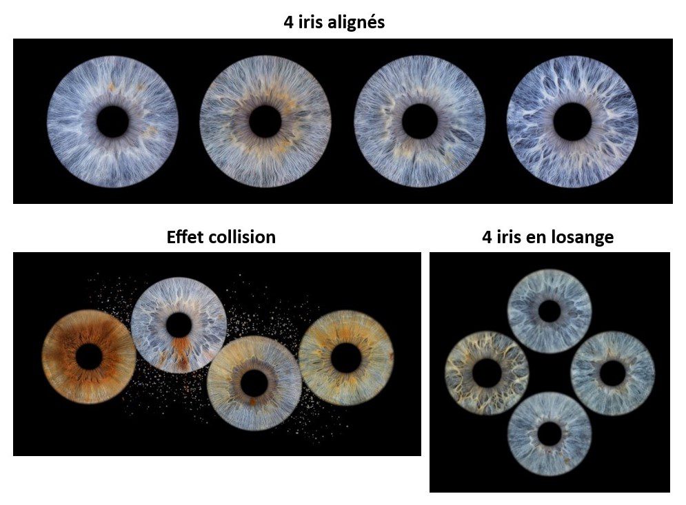 Photographie d'Iris - Tarifs et supports d'impressions